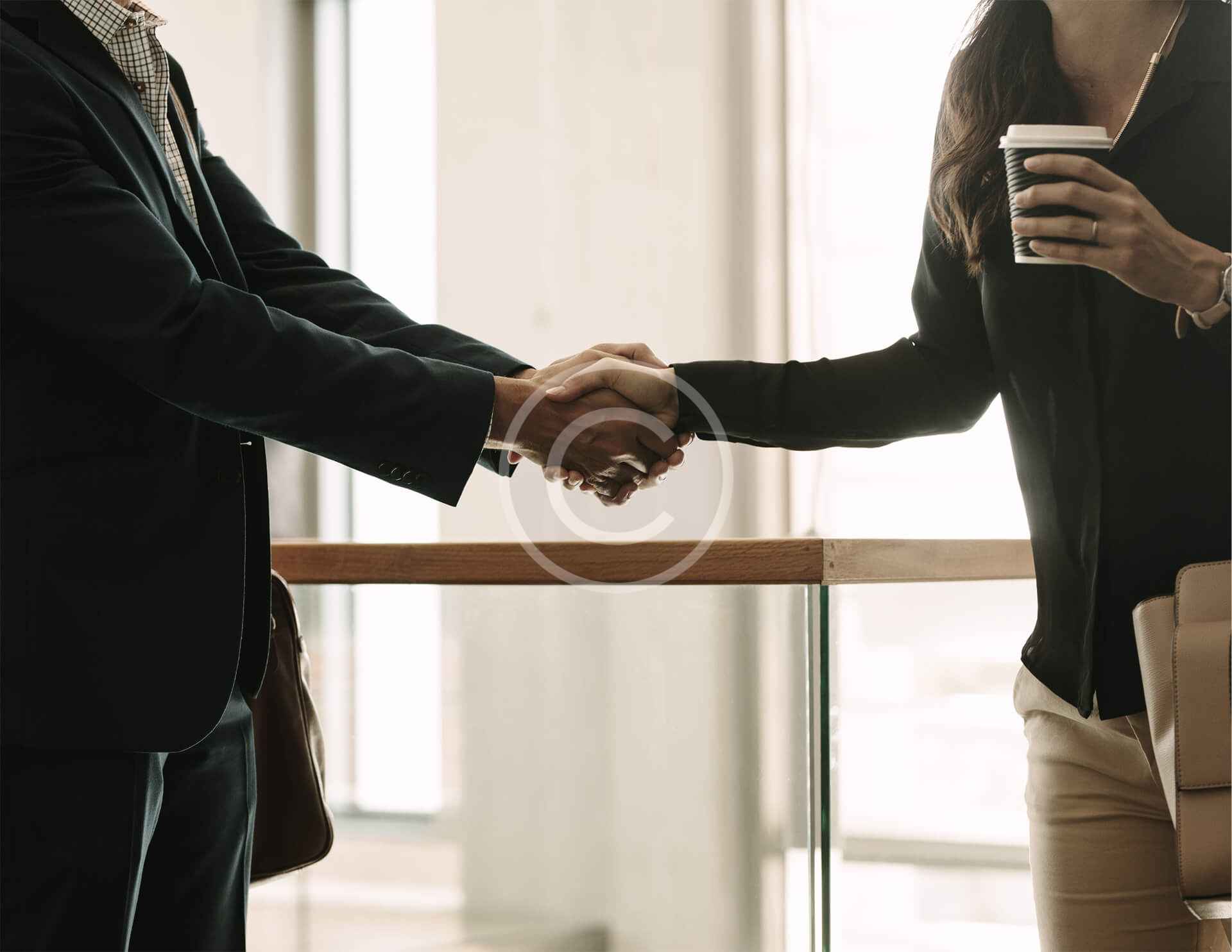 Business opening & various ownership forms – Veyrontec